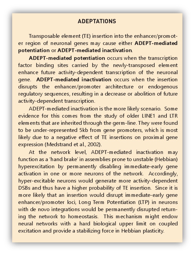 Activity DEPendent Transposition (ADEPT) and the Aging Brain | Opera Medica et Physiologica